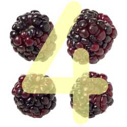 Jamberry, by Bruce Degan